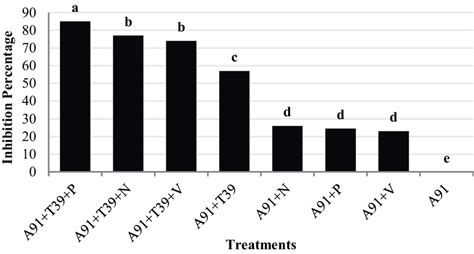 Effect Of T39 Isolates Of Trichoderma Mycoparasitic Fungi And Download Scientific Diagram