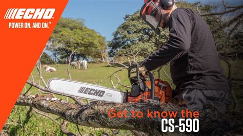 Echo Cs 590 Timber Wolf Chainsaw Youtube
