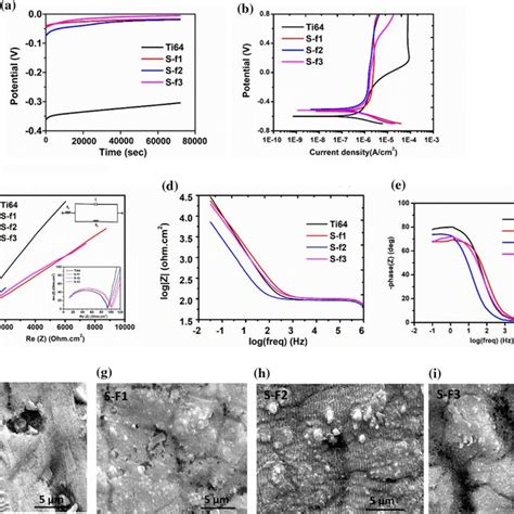 A Open Circuit Potential B Potentiodynamic Polarization Curve C Download Scientific Diagram A Open Circuit Potential B Potentiodynamic Polarization Curve C Download Scientific Diagram