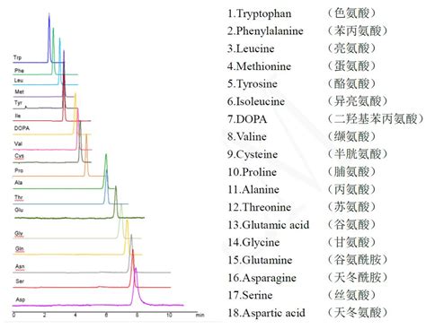 菲罗门关于氨基酸hplc分析方法总结and色谱柱选择
