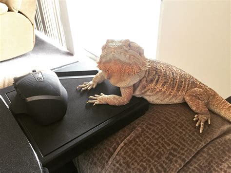 C Can I Have A Turn Scrolller