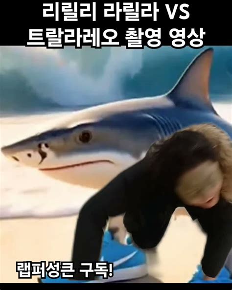 리릴리 라릴라 Vs 트랄라레오 트랄랄라 배틀 영상 Italianbrainrot Youtube