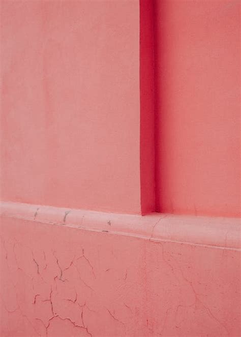 핑크 벽에 창 · 무료 스톡 사진