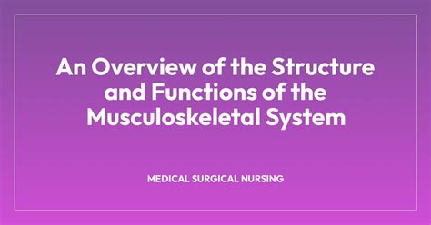 An Overview Of The Structure And Functions Of The Musculoskeletal System BNS Institute