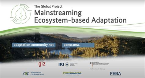 Project Movie The Global Project Mainstreaming Eba Adaptation Community