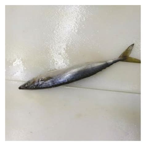 Comparison Between A Preprocessing And B Postprocessing Images