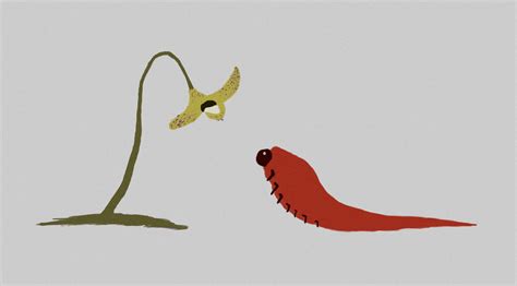 Muchachito By Peagabr On Deviantart