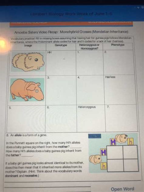 Key Answers To Monohybrid Genetics Problems