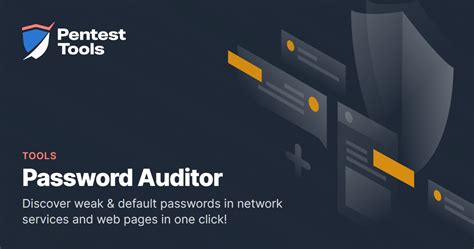 Password Auditor Find Weak Credentials With Pentest Tools Com