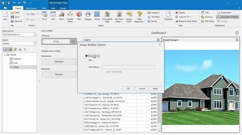 Devexpress Dashboards Binding Images Youtube