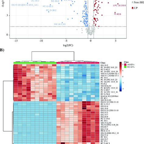 Characterization Of The Main Lipid Categories And Classes Regardless Of