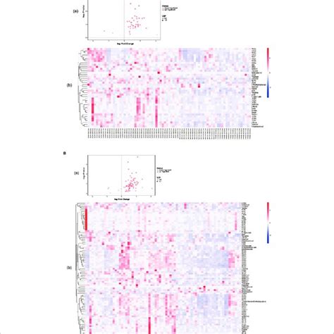A Volcano Plot A And Heatmap Of Hierarchical Clustering Analysis Download Scientific