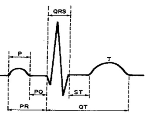 PR Interval Don T Forget The Bubbles