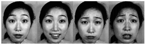 Deep Emotion Facial Expression Recognition Using Attentional Convolutional Network