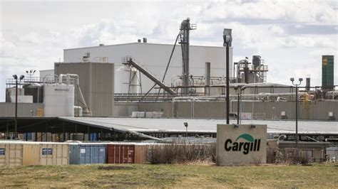 Class Action Lawsuit Filed Against Cargill Meat Packing Plant Cbc News