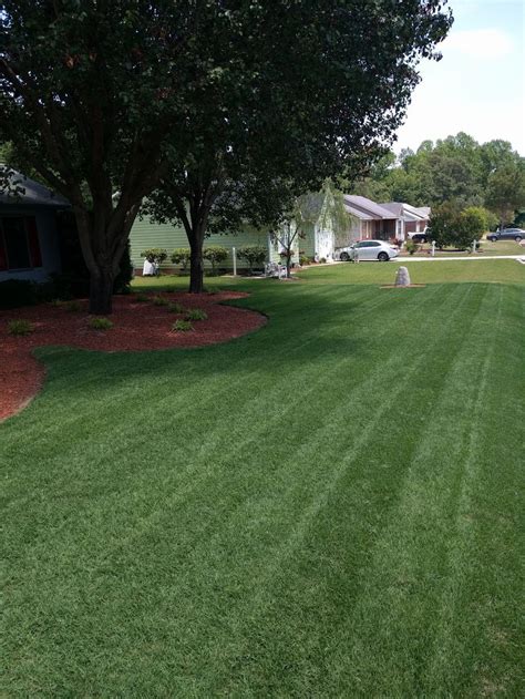 Lawn Care Guy With A Bad Lawn No Way Southern Lawn Man