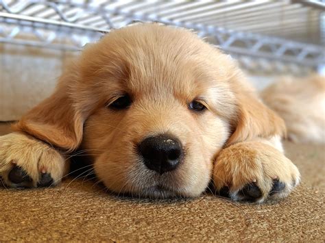 Working Assumptions Introduction