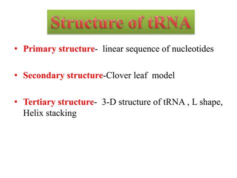 Trna Structure And Function Pptx