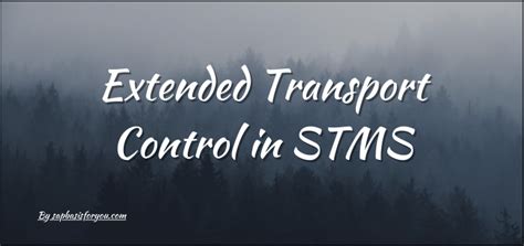 Extended Transport Control In Stms Sap Basis For You