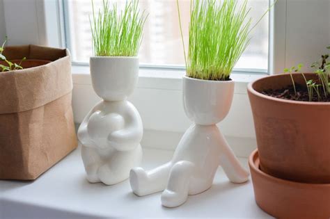 Экочеловеки это живые керамические кашпо каждый со своим характером своей историей своим