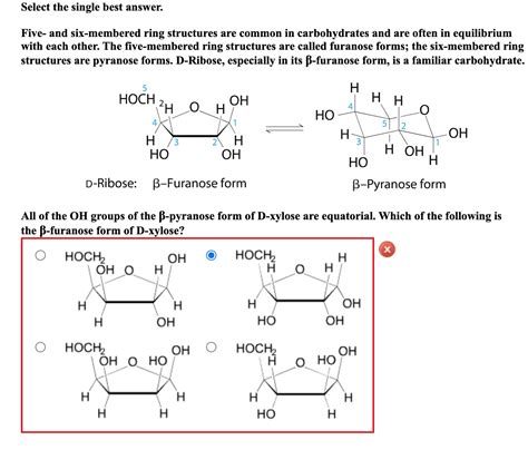 Ribose Ring Structure