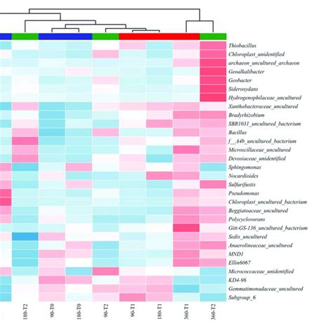 Bacterial Community Composition And Their Hierarchical Clustering In Download Scientific