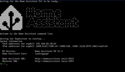Installing HAOS Home Assistant OS In A VM Apps And Virtualization TrueNAS Community Forums