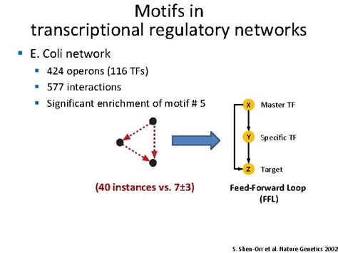 Biological Networks Analysis Degree Distribution And Network Motifs