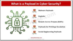 What Is A Payload In Cyber Security A Comprehensive Guide Network Interview