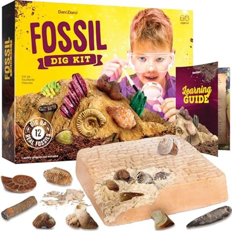 Shop Fun Fossil Digging Sets Jurassic Stuff