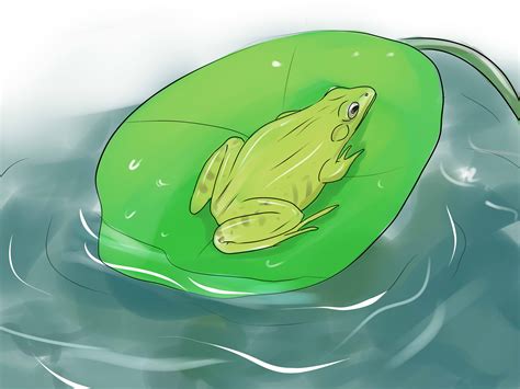 3 Ways To Tell The Difference Between A Frog And A Toad