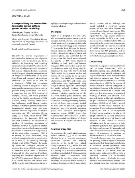 Pdf Conceptualizing The Mammalian Locomotor Central Pattern Generator With Modelling