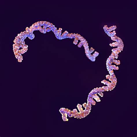 Small Rna Sequencing Srna Seq بیو مجیک ژن Bmg Biotech