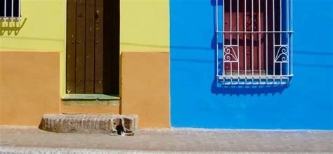 Loopwerk Announcing Drf Action Serializers