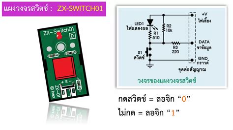 Ibit Circle Programming Robot With Microbit Pptx