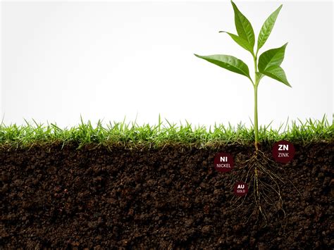 Почва картинки для презентации 65 фото