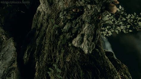 Treebeard On Tumblr