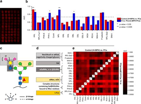 A A Typical Output Scan Read At 635 Nm From Lectin Microarray Download Scientific Diagram