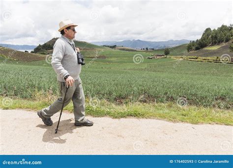 Man Walking Along A Path Surrounded By Welsh Onion Fields Editorial Stock Photo Image Of