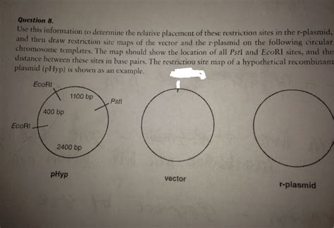 Solved Use This Information To Determine The Relative