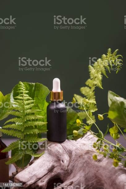 열대 잎과 나무가있는 녹색 배경에 피펫이있는 빈 호박색 유리 에센셜 오일 병 천연 유기농 화장품 개념 열대 스파 살롱 휴양지 셀프 케어 0에 대한 스톡 사진 및 기타 이미지