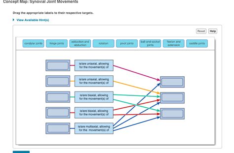 solved concept map synovial joint movements drag the