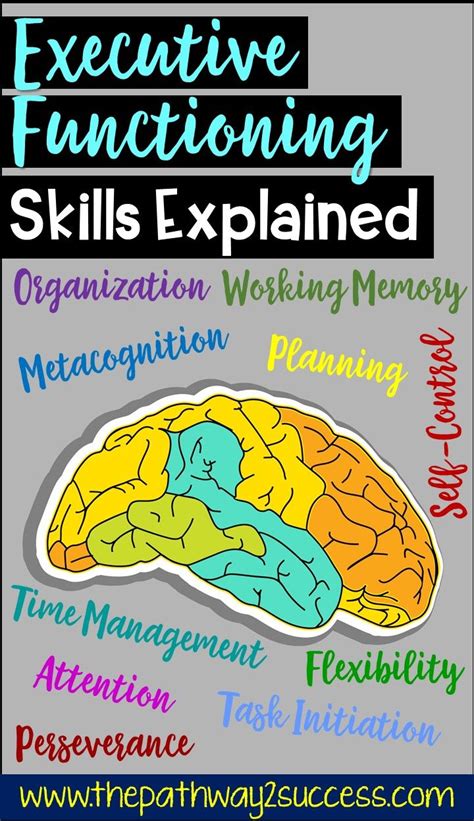 executive functioning skills explained artofit