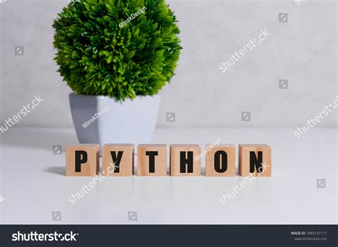 Python Programming Language Word Concept Qa Stock Photo Shutterstock