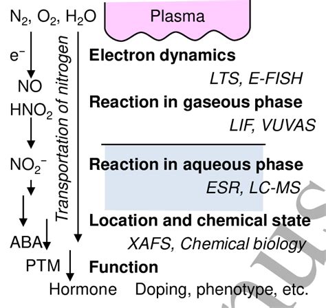 Diagram Showing The Hierarchical Analysis Of The Spatiotemporal Download Scientific Diagram