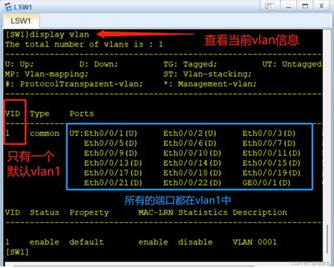Vlan详解 Csdn博客