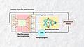 The AiEdge Algorithms For Hyperparameter Optimization