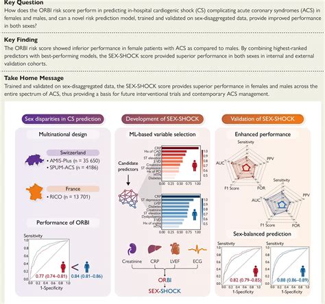 Review Of The Sex Shock Score Published In Evidence To Action