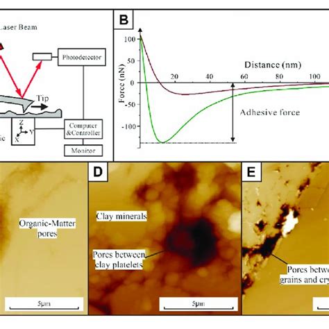 Working Principle Of Atomic Force Microscopy A Experimental Download Scientific Diagram