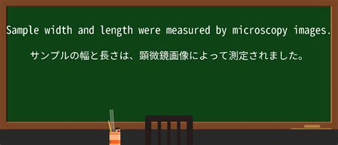 【英単語】microscopy Imagesを徹底解説！意味、使い方、例文、読み方